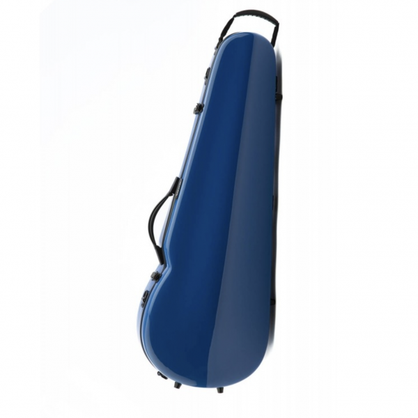 ESTUCHE VIOLA RAPSODY RAINBOW FORMA