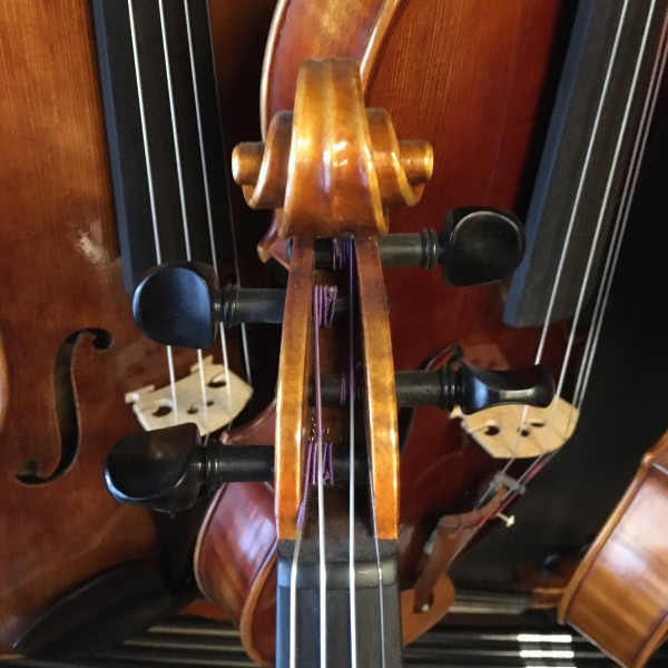 VIOLÍN MARIO GIO 2022 (Cod.003)