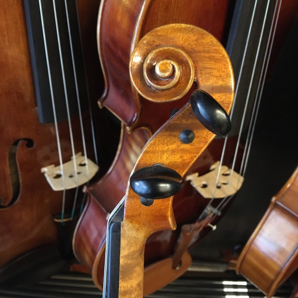 VIOLÍN MARIO GIO 2022 (Cod.003)